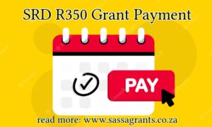 SASSA SRD R350 Grant - When and How will it be Paid